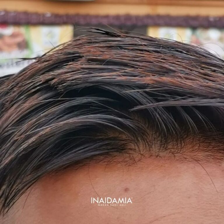 INAI RAMBUT 250G - Inaidamia