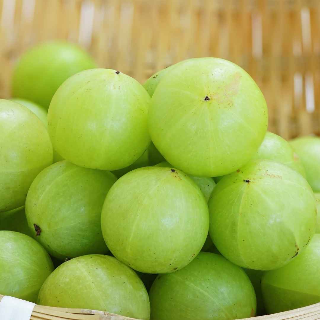 Herba untuk rambut yang sihat - Inaidamia