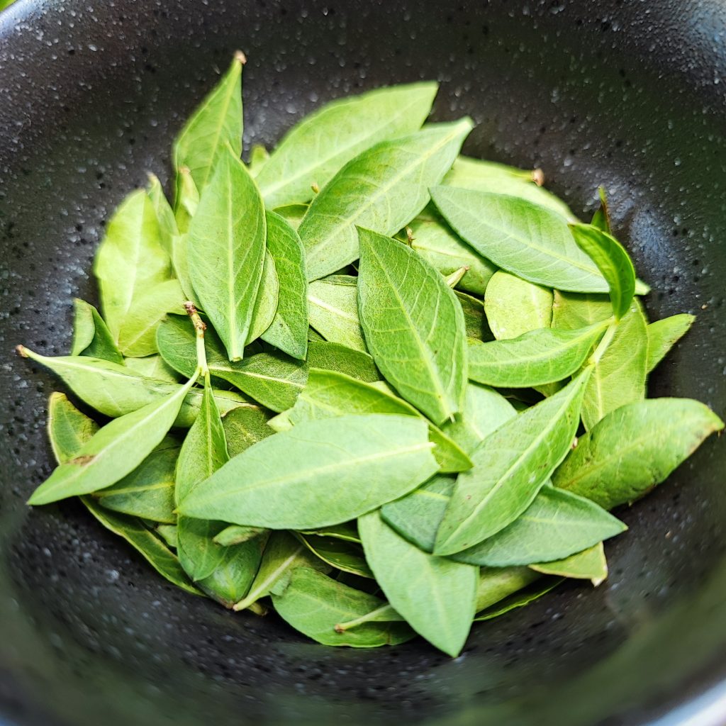 Inaidamia - Merah Suci Asli